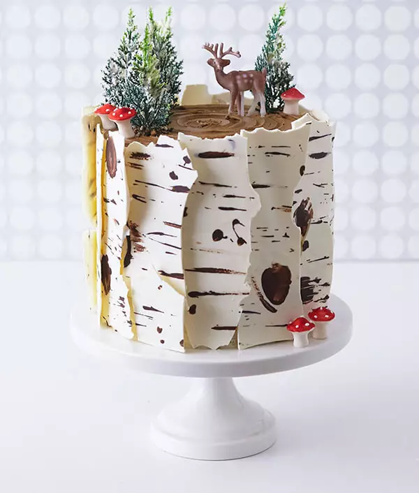 Cake stump. Hur man dekorerar en tårta i form av ett hampa? 2255_8