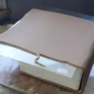 Tort kitaby. Kitap görnüşinde tort: ​​Surat, baş klassa nähili etmeli