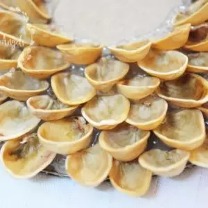 Ubuciko obuvela ePistachios. Kusuka ku-pistachio shell Crafts