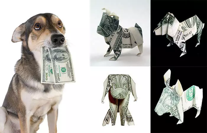 Dog Dollar. Jinsi ya kufanya mbwa nje ya fedha katika mbinu ya origami? 2447_1