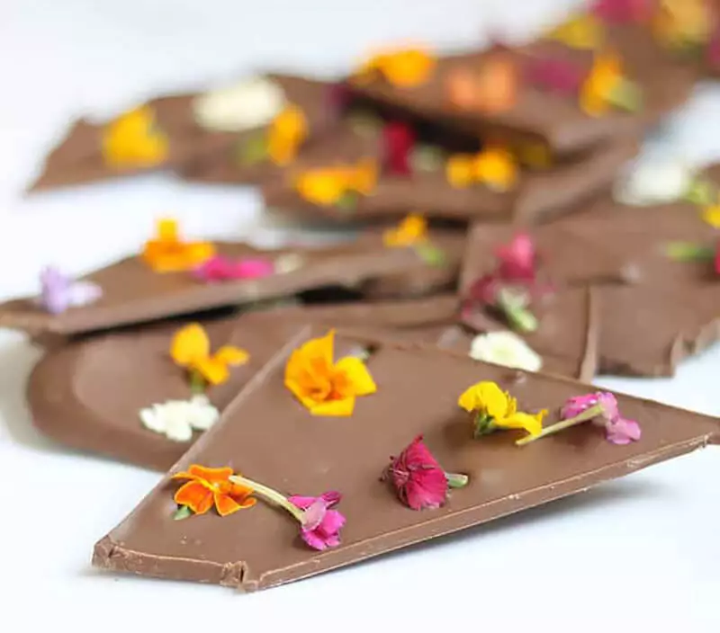 Jak udělat domácí čokoládu? Květinová čokoláda s rukama 2644_5