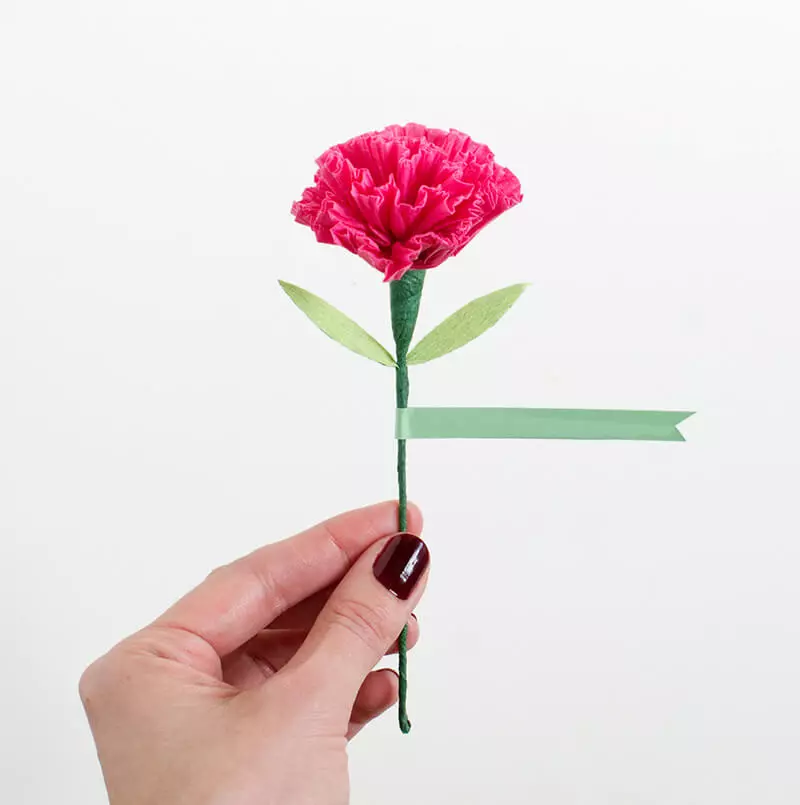 Carnations စက္ကူကနေသင်ကိုယ်တိုင်လုပ်ပါ 2658_2