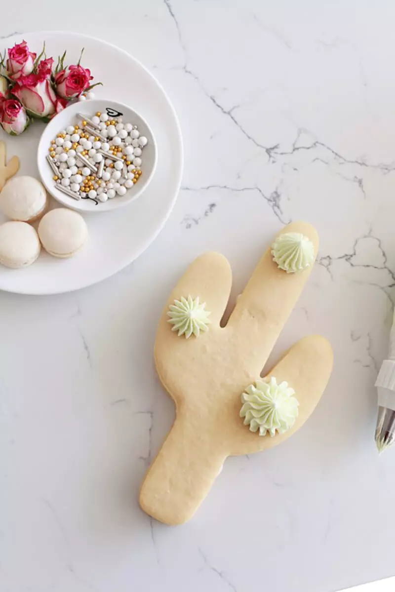 แคคตัสเค้ก วิธีการตกแต่งเค้กในรูปแบบของกระบองเพชรด้วยมือของคุณเอง?