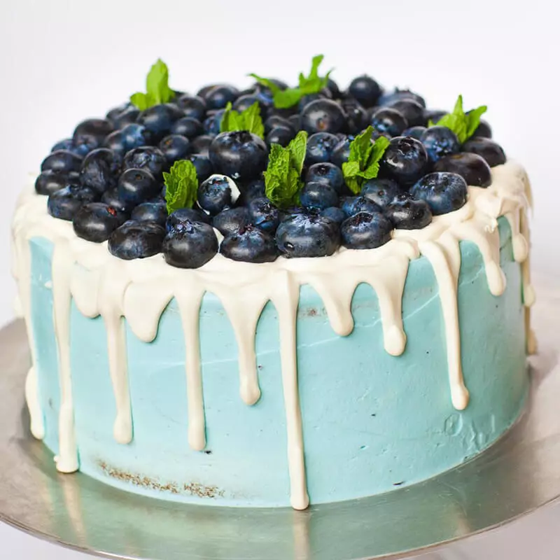 Как да декорирате тортата на боровинка със собствените си ръце? 2687_10