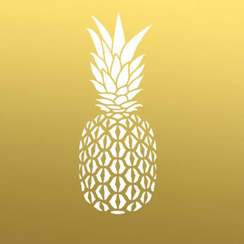 Templatên Pineapple û stencils 2715_16