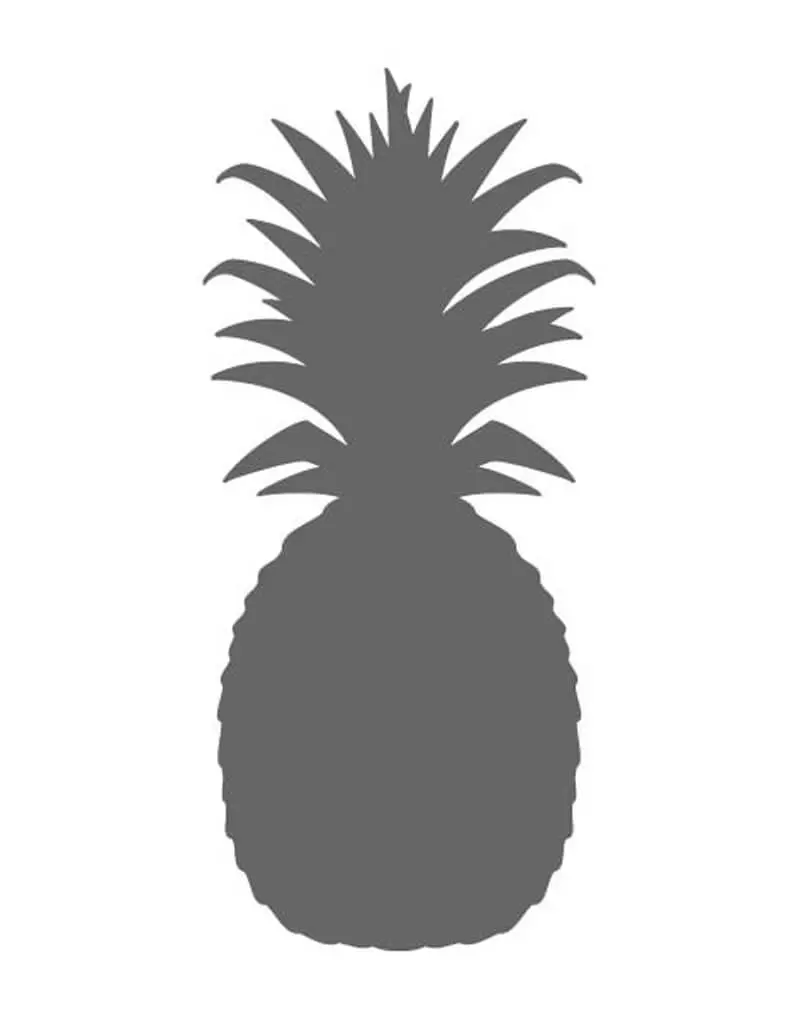 Templatên Pineapple û stencils 2715_22