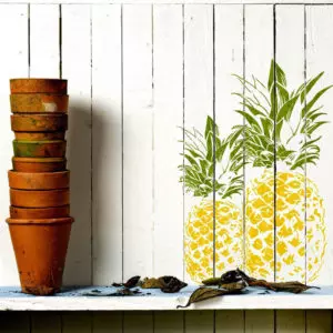 Templatên Pineapple û stencils