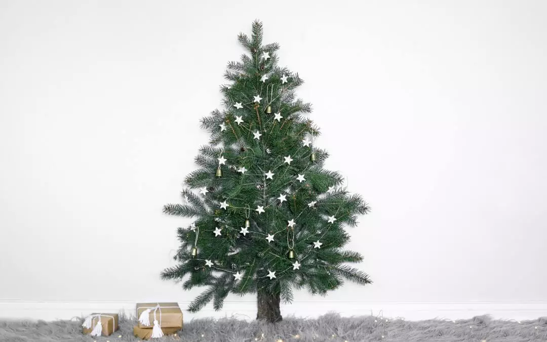 牆壁聖誕樹用她的從冷杉分支的手 2990_1
