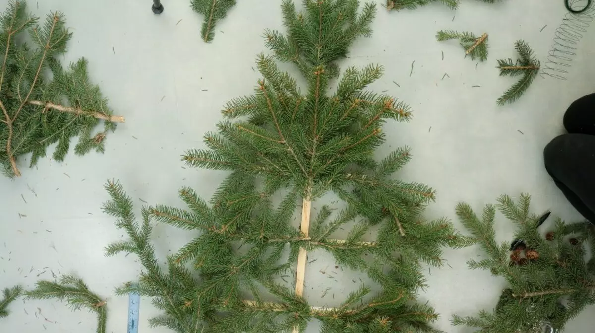 Dinding pohon Natal dengan tangan dari cabang cemara 2990_5