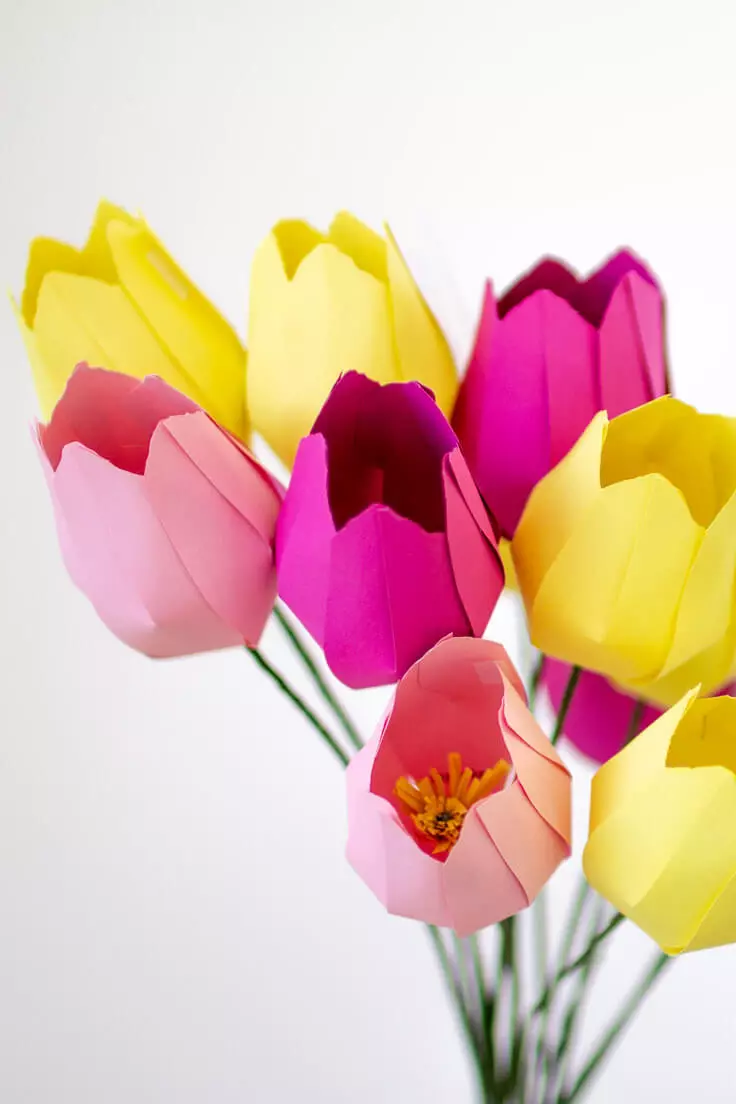 Els tulipes ho fan vosaltres mateixos. Com fer una tulipa de paper? 3016_1