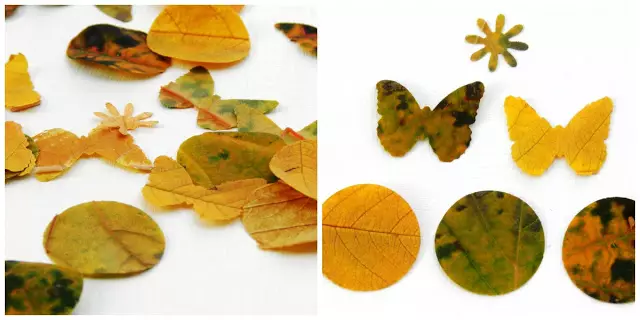Artesanía en la hoja de hojas. Artesanía de hojas de otoño. 3056_19