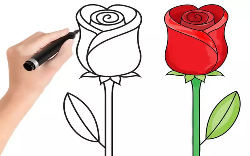 Comment dessiner une rose? Comment dessiner une rose dans un crayon phasé? 3076_1