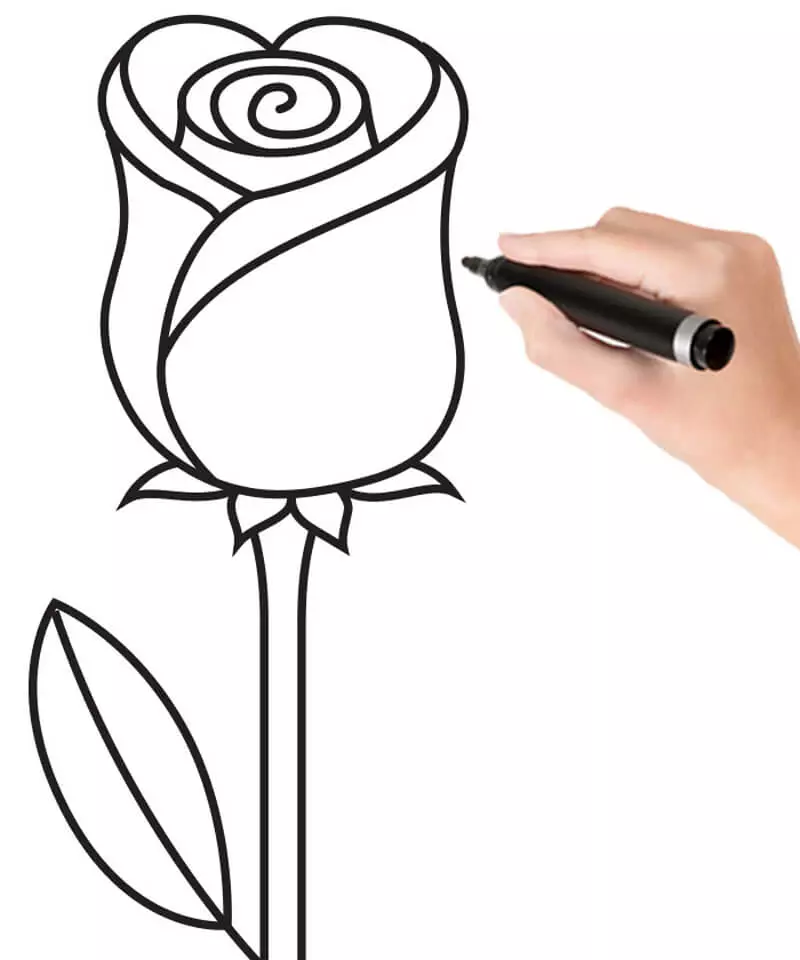 Comment dessiner une rose? Comment dessiner une rose dans un crayon phasé? 3076_2