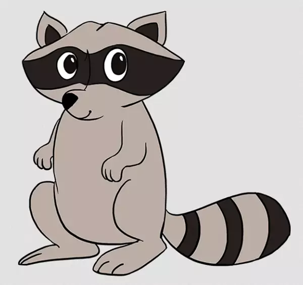 Како да се привлече Raccoon? Како да се привлече ракун фазен дете со молив? 3212_11
