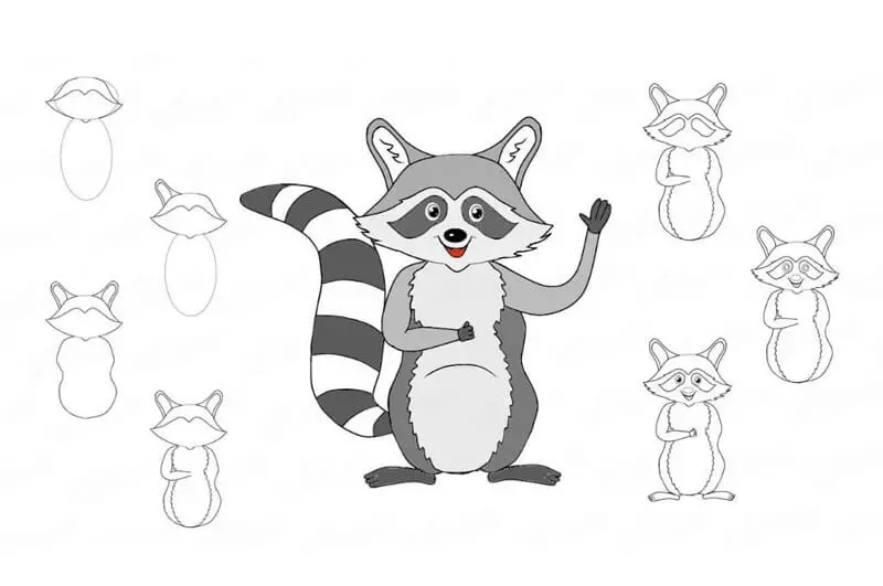 როგორ დავხატოთ raccoon? როგორ დავხატოთ raccoon ეტაპობრივად ბავშვი ფანქარი? 3212_12