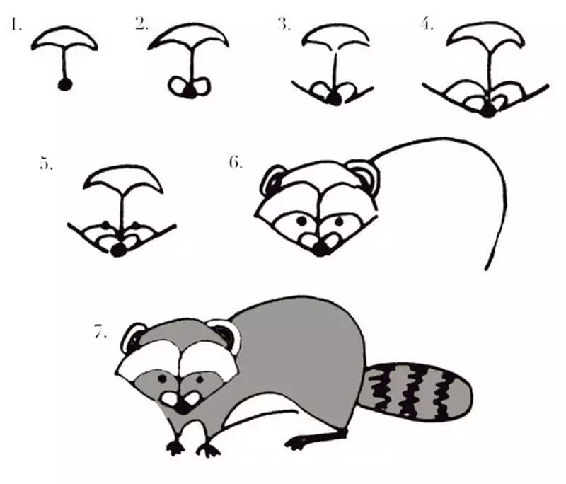 Hur man ritar tvättbjörn? Hur man ritar ett raccoonfasat barn med en penna? 3212_15