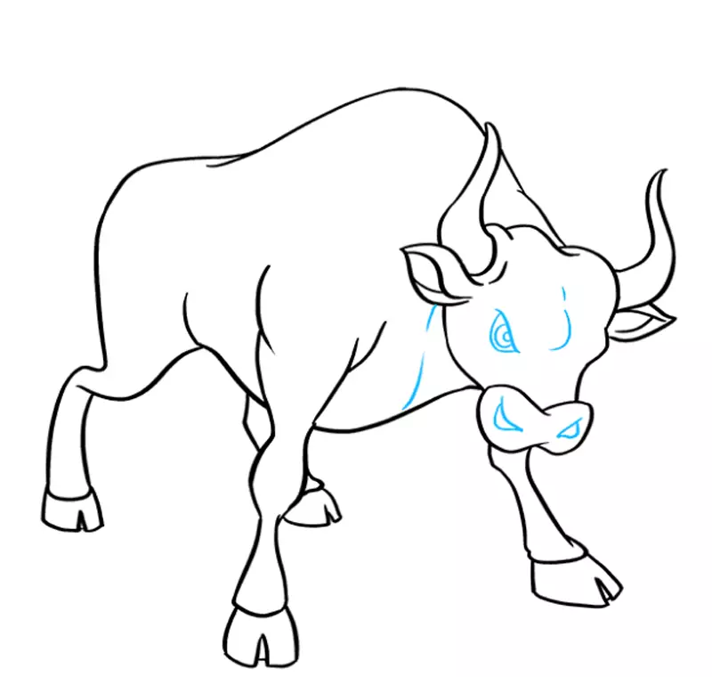 Bull desen. Cum de a desena un taur cu un creion tauta? 3219_9