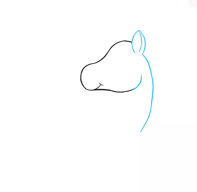 Eenhoorn tekening. Hoe om 'n eenhoorn te teken? 3233_4