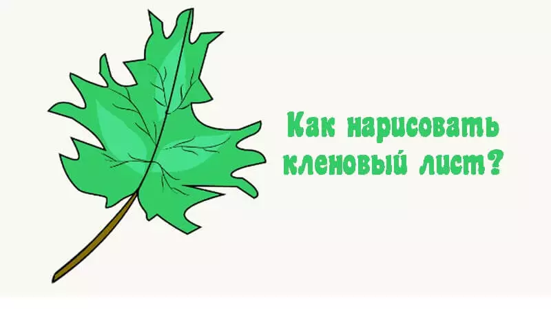 Үйеңкі жапырағының үлгісі. Үйеңкі жапырағын қалай салуға болады?