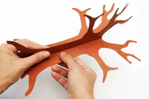 紙の木あなた自身の手で紙から紙を作る方法は？ 3280_8