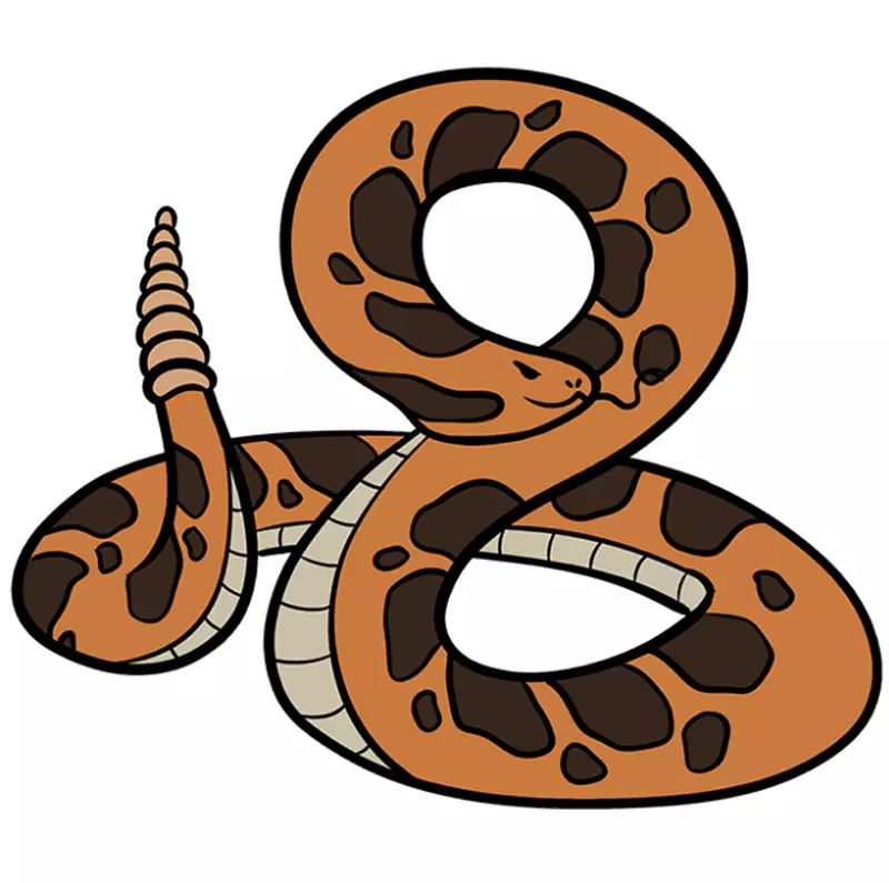 Kuinka piirtää käärme lyijykynä vaiheittain? 3288_11