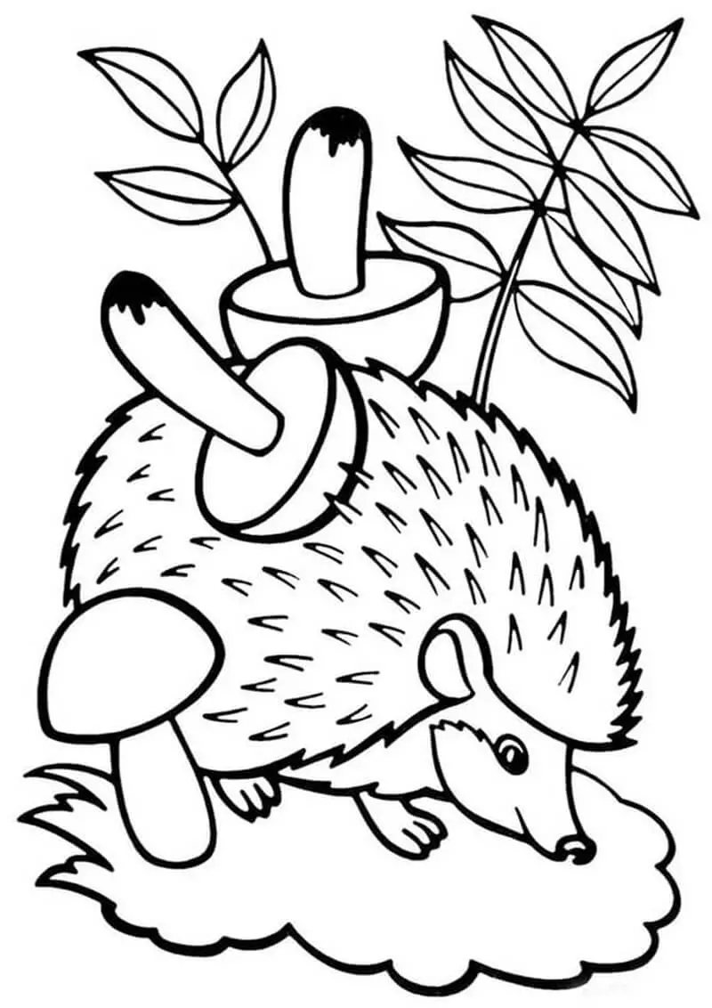 ကလေးများအတွက် permed ခဲတံတစ်ချောင်းတွင် Hedgehog ကိုပုံဆွဲရမည်နည်း။ 3375_16