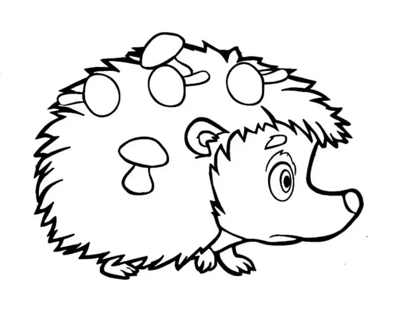 Como desenhar um ouriço em um lápis faseado para crianças? 3375_17