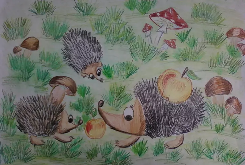 How to draw a hedgehog in a phased pencil for children? 3375_7