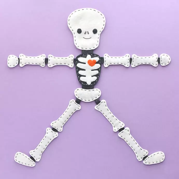 Скелет на филц (модел) 3439_17