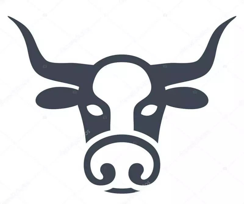 2021 Tsarin Bull da Stencils 3444_11