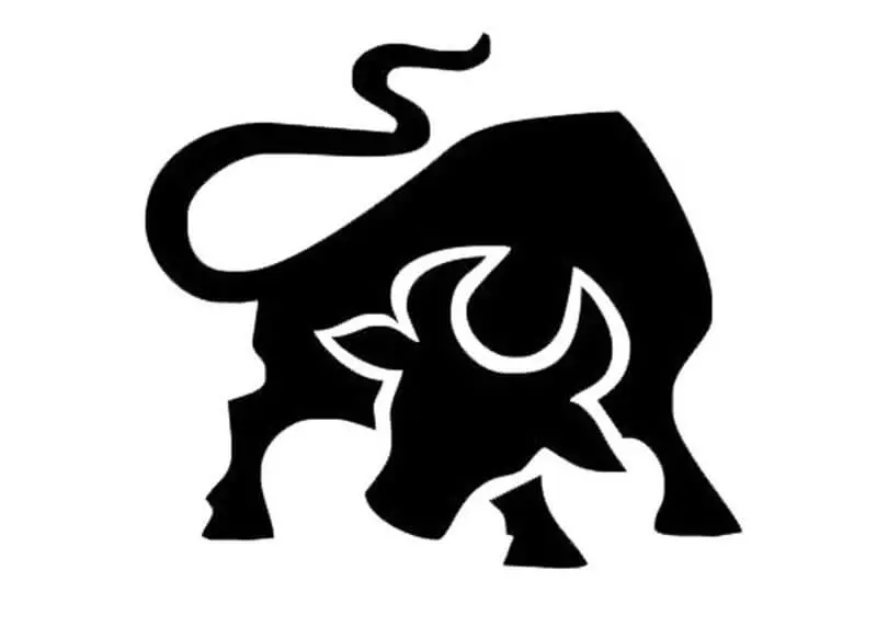 2021 Tsarin Bull da Stencils 3444_12