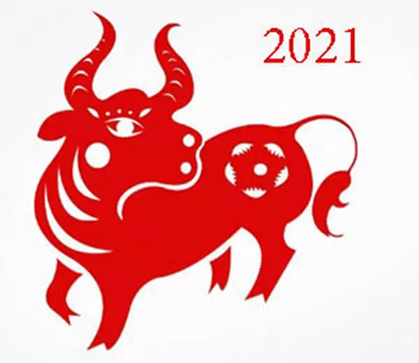 2021 Tsarin Bull da Stencils 3444_14