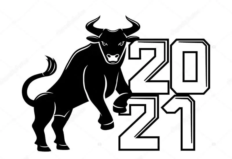 2021 Tsarin Bull da Stencils 3444_15
