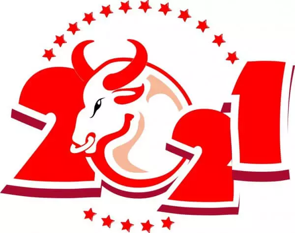 2021 Tsarin Bull da Stencils 3444_18