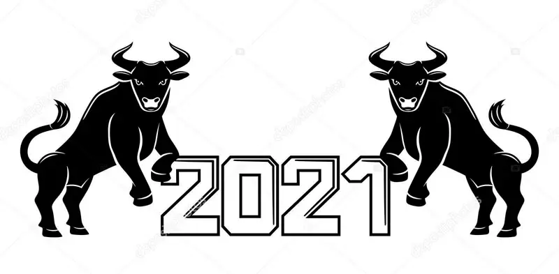 2021 Tsarin Bull da Stencils 3444_21