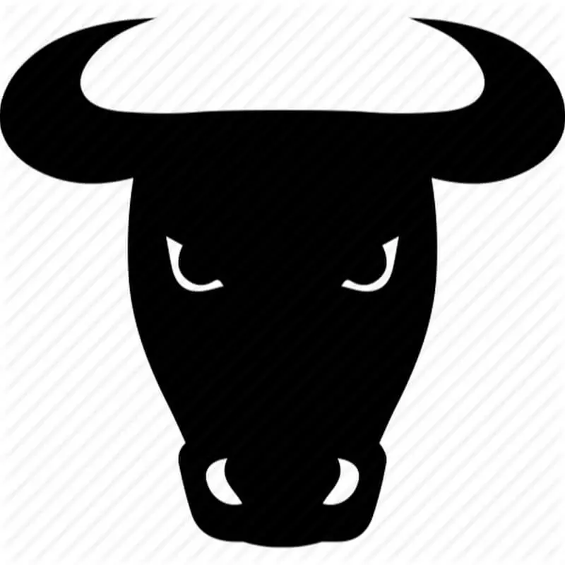 2021 Bull mustrid ja šabloonid 3444_6