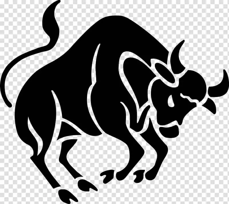 2021 Tsarin Bull da Stencils 3444_8