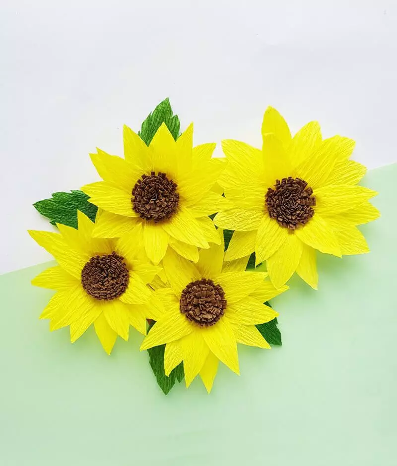 Sunflower xwe bixwe dike. Meriv çawa ji kaxezê korîdandî tavê dike? 454_1