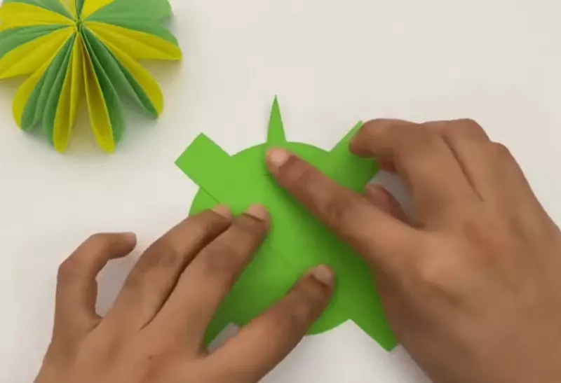 Χελώνα χαρτιού. Πώς να φτιάξετε ένα χαρτί χελώνας με τα χέρια σας; 505_13