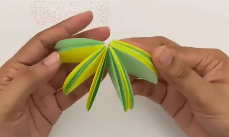 Χελώνα χαρτιού. Πώς να φτιάξετε ένα χαρτί χελώνας με τα χέρια σας; 505_9
