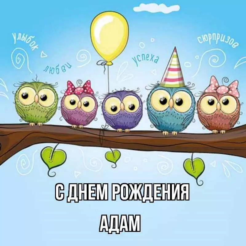 Happy Birthday Adam (Adamchik): Gratulujeme, obrázky, karty, hlasové a video gratulujeme 585_10