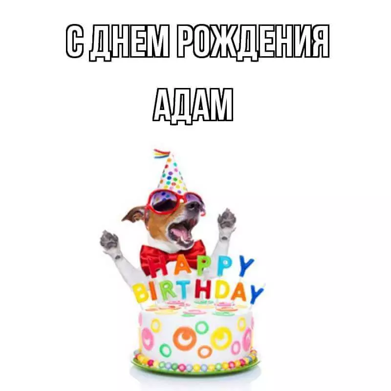 Happy Birthday Adam (Adamchik): Gratulujeme, obrázky, karty, hlasové a video gratulujeme 585_15