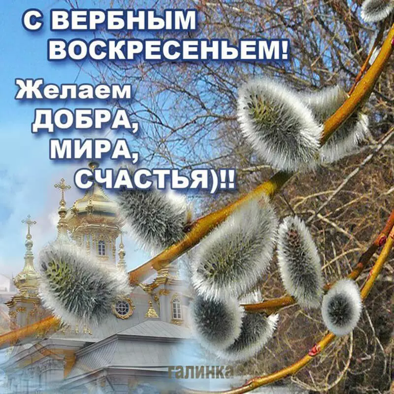 Вербна неділя: привітання, картинки, листівки, голосові і відео привітання 594_6