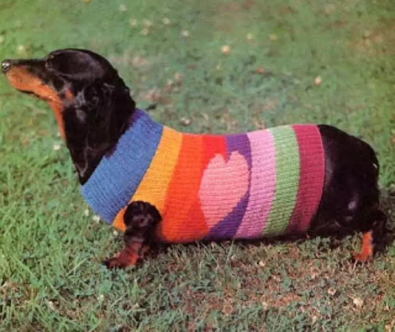 Sweater tal-kmiem minn idejk