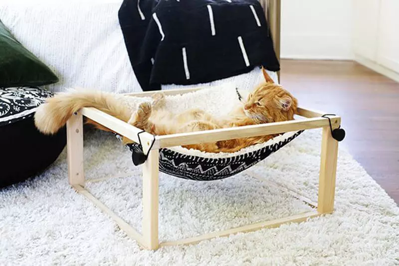 Hammock կատվի համար: Hammock for Cat- ի համար դա ինքներդ արա 703_1