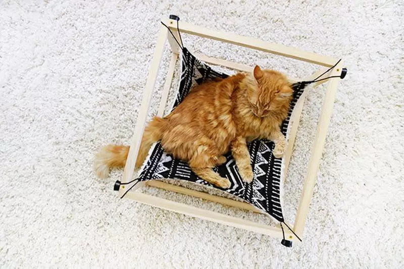 Buaian untuk kucing. Hammock untuk kucing melakukannya sendiri 703_2